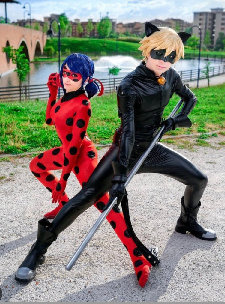 Bringing Magic to Your Child's Party with a Miraculous Ladybug Enterta ...