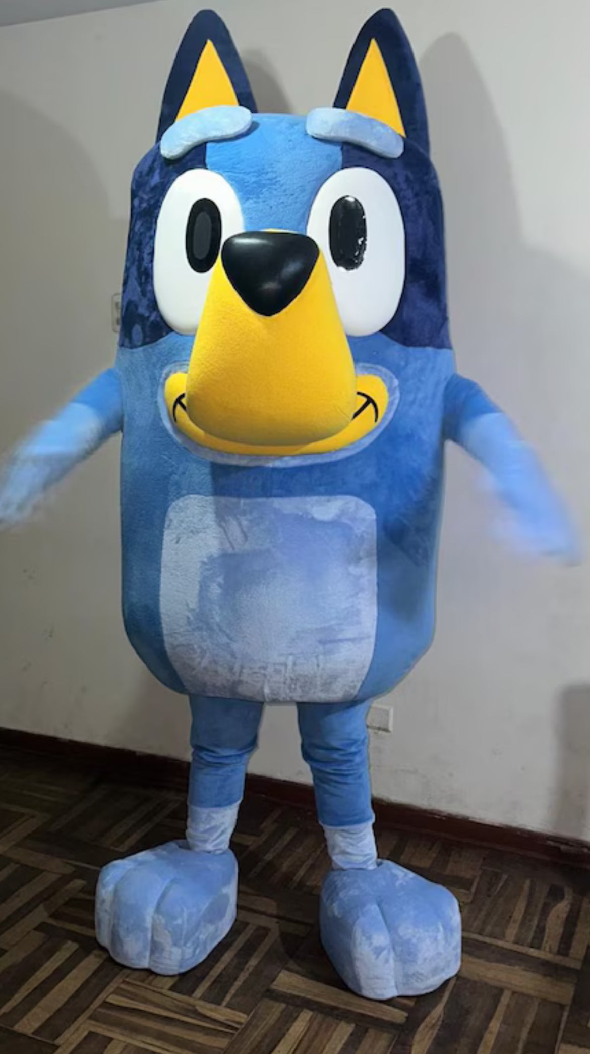 Blue Dog – Kids Party Characters Princesses, Superheros & Mascots